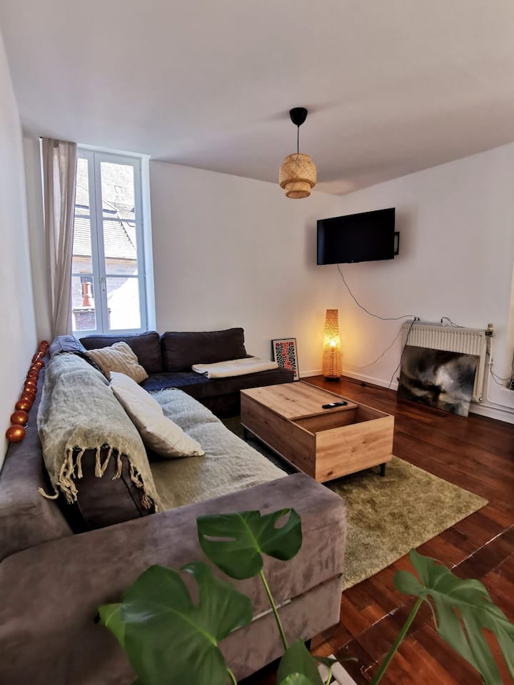 "Au Petit Jean-jacques" - Centre Historique - Dijon