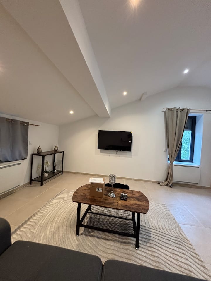 Appartement Moderne Rénové Et Tout éQuipé. - Givors