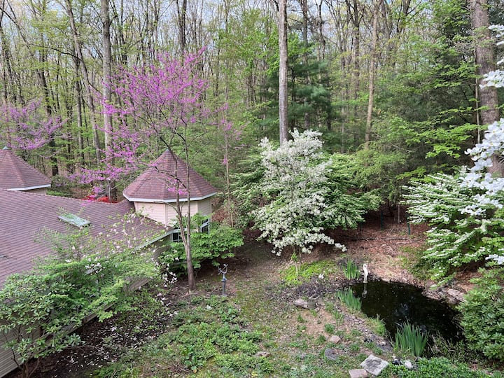 Nature Escape: Whispering Oaks Retreat In Sc - State College, PA