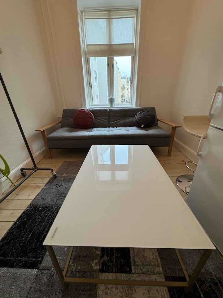 Cozy Scandinavian Style Room - Copenhagen