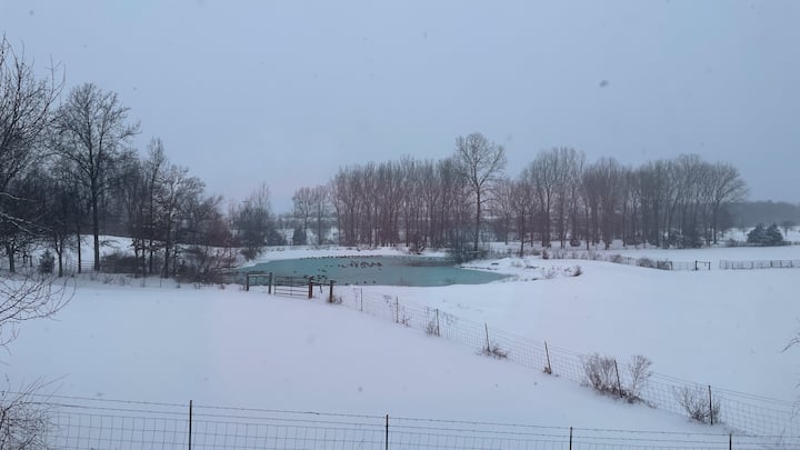 Private Basement Suite Private Entry / Quiet Home - O'Fallon, MO