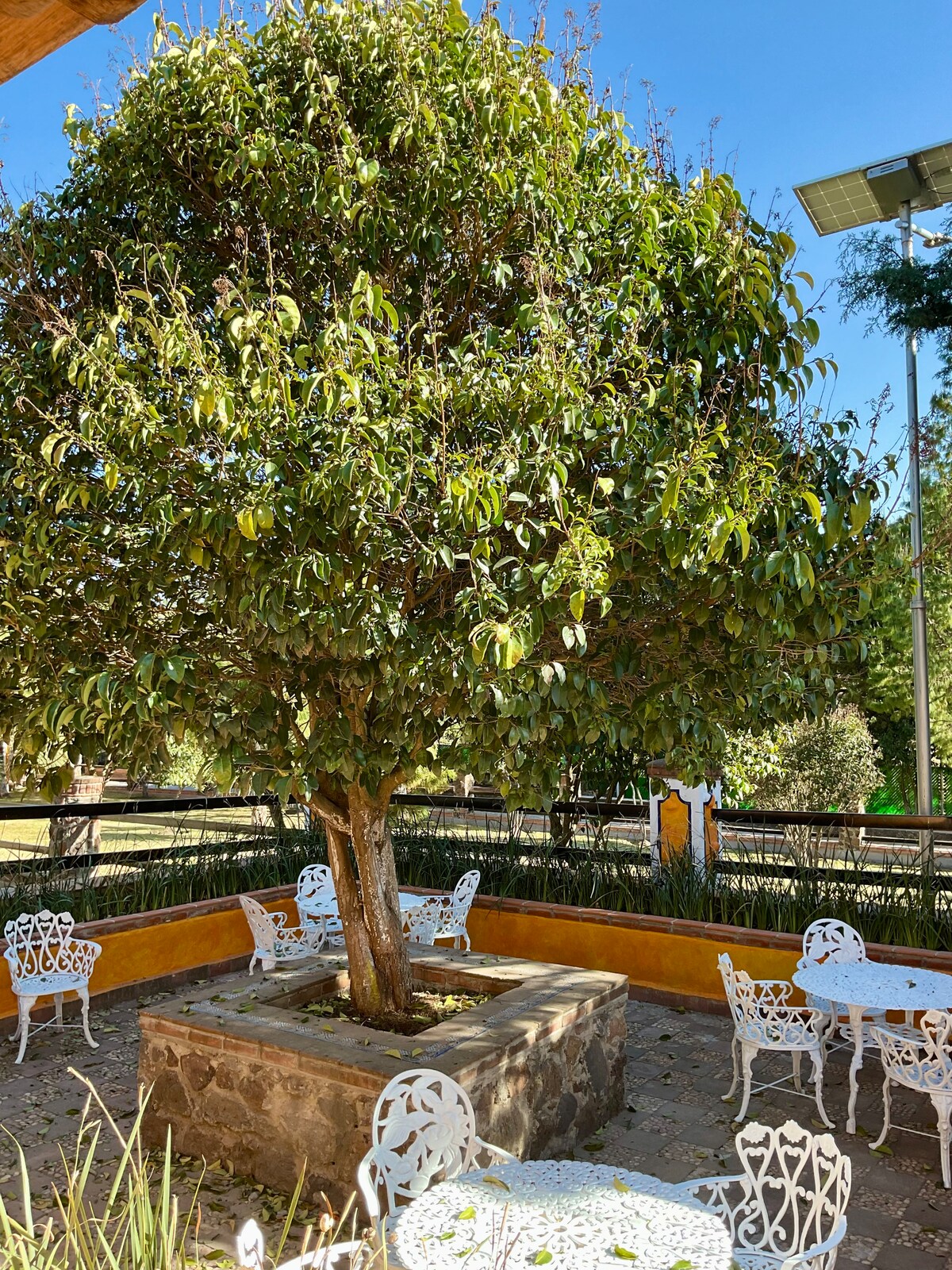 Hotel Finca El Encanto - Hoteles en renta en El Rosario, Tlaxcala ...