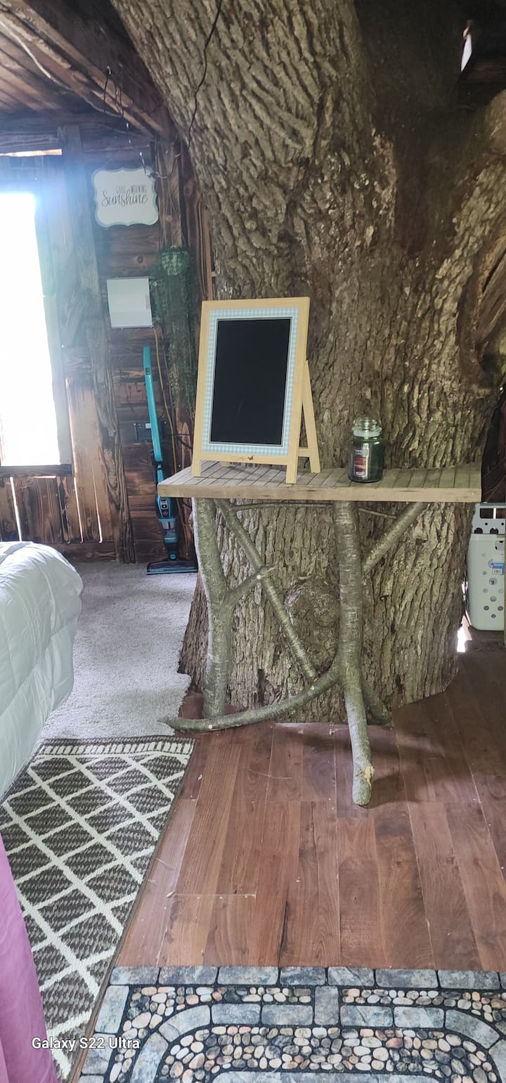 The Air Treenbee - Michigan