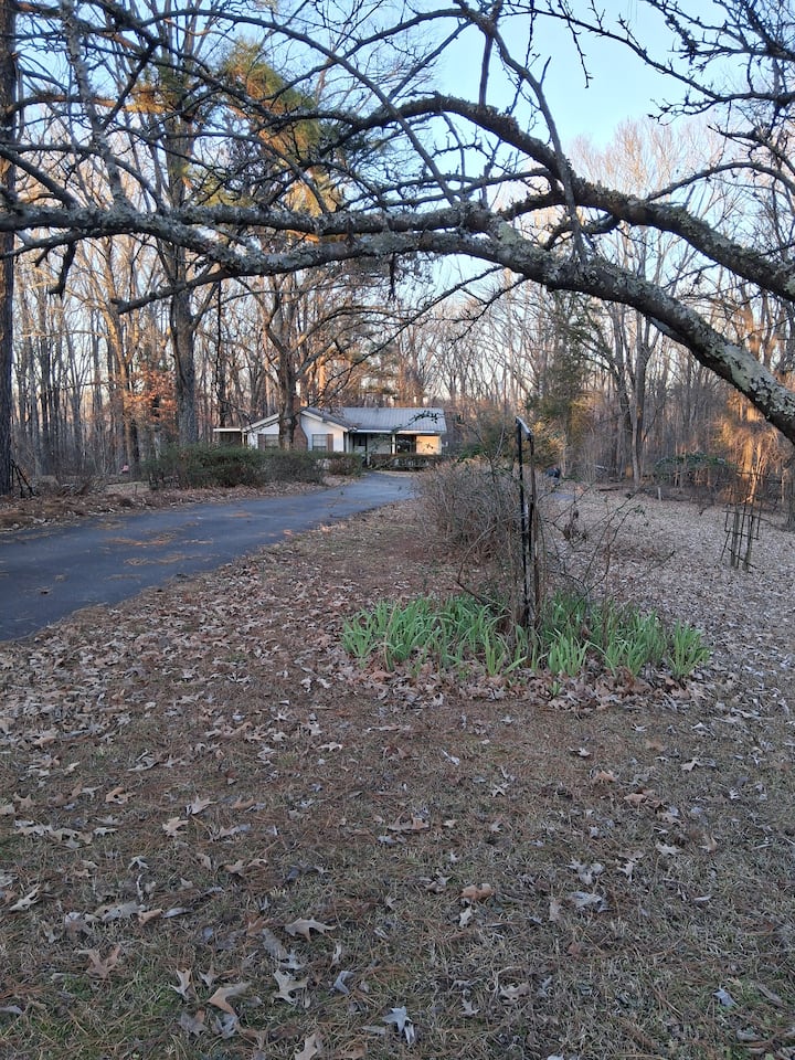 Hermitage - Arkabutla Lake, MS