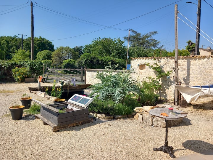 Studio Indépendant - La Vallée Des Singes