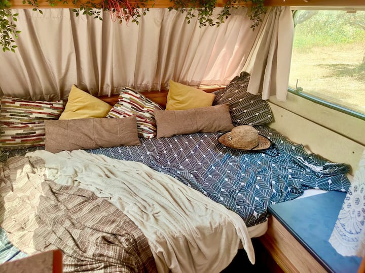 Olive Grove Mountain Caravan B&b - Cipro