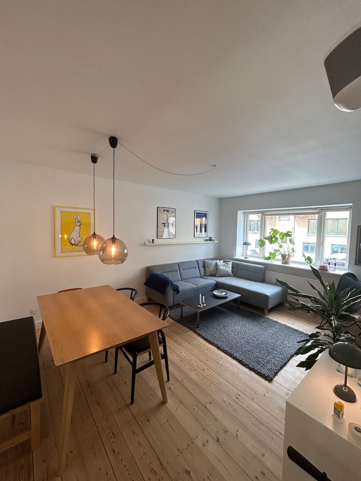 Hyggelig, Lys Og Central - Odense