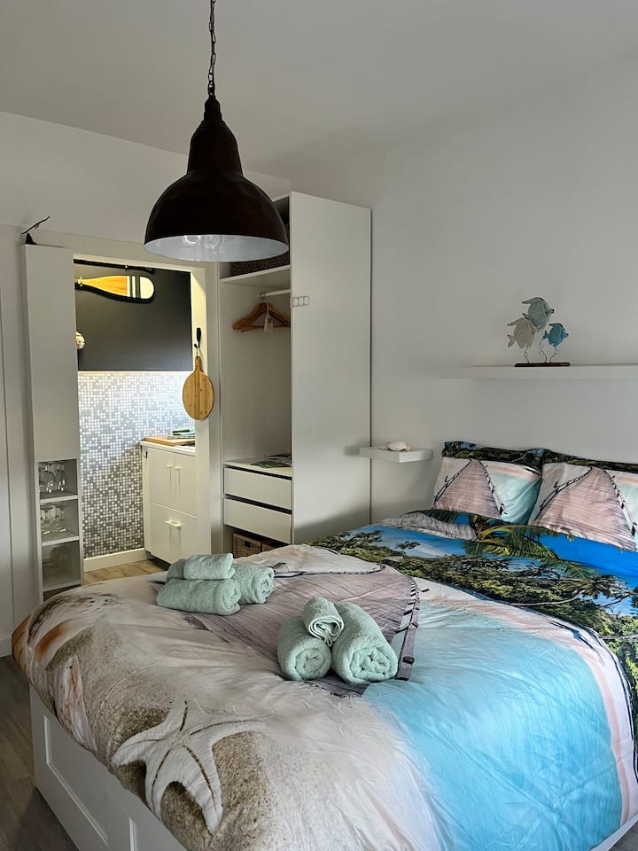 The Perfect Seaside Get Away! - De Panne