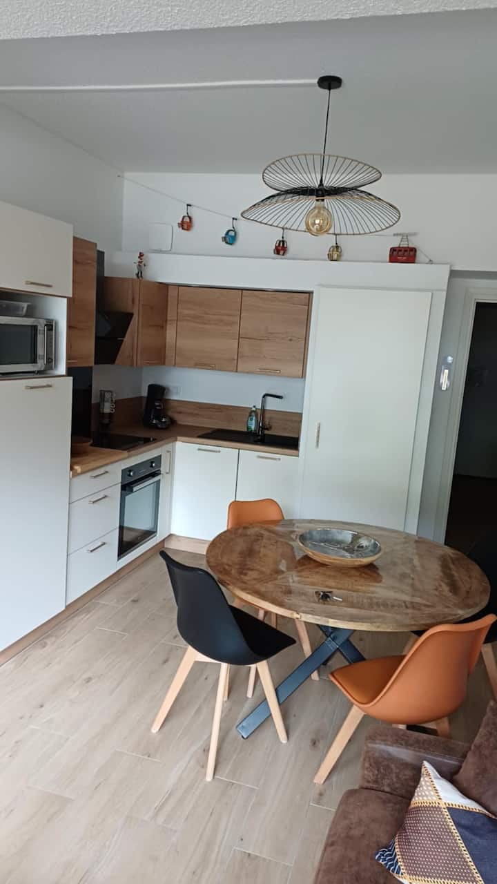 Appartement La Marmotte D'aure 3* Proche Thermes - Saint-Lary-Soulan