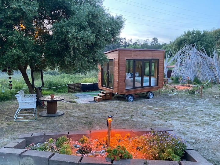 Quinta Do Vale - Costa da Caparica