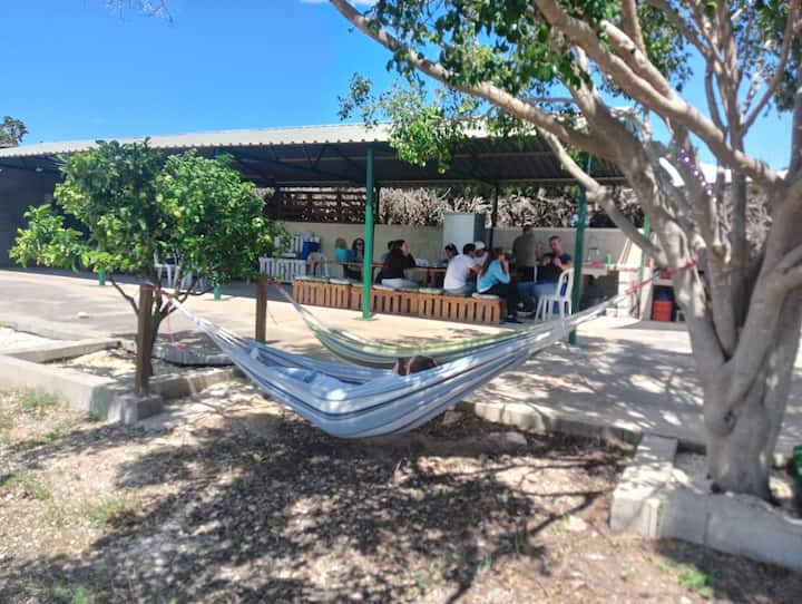 Campo Privado Para Dormir En Caravana Autocaravana - Elche
