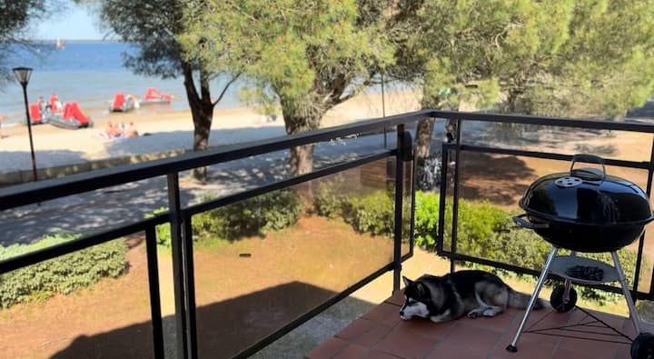 Appartement Les Pieds Dans L’eau - Carcans