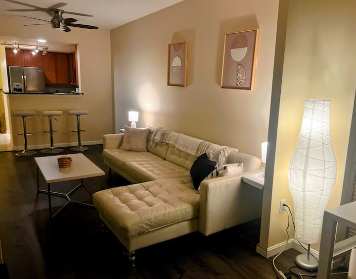 Comfy, Furnished 1br In Downtown Silver Spring - Silver Spring