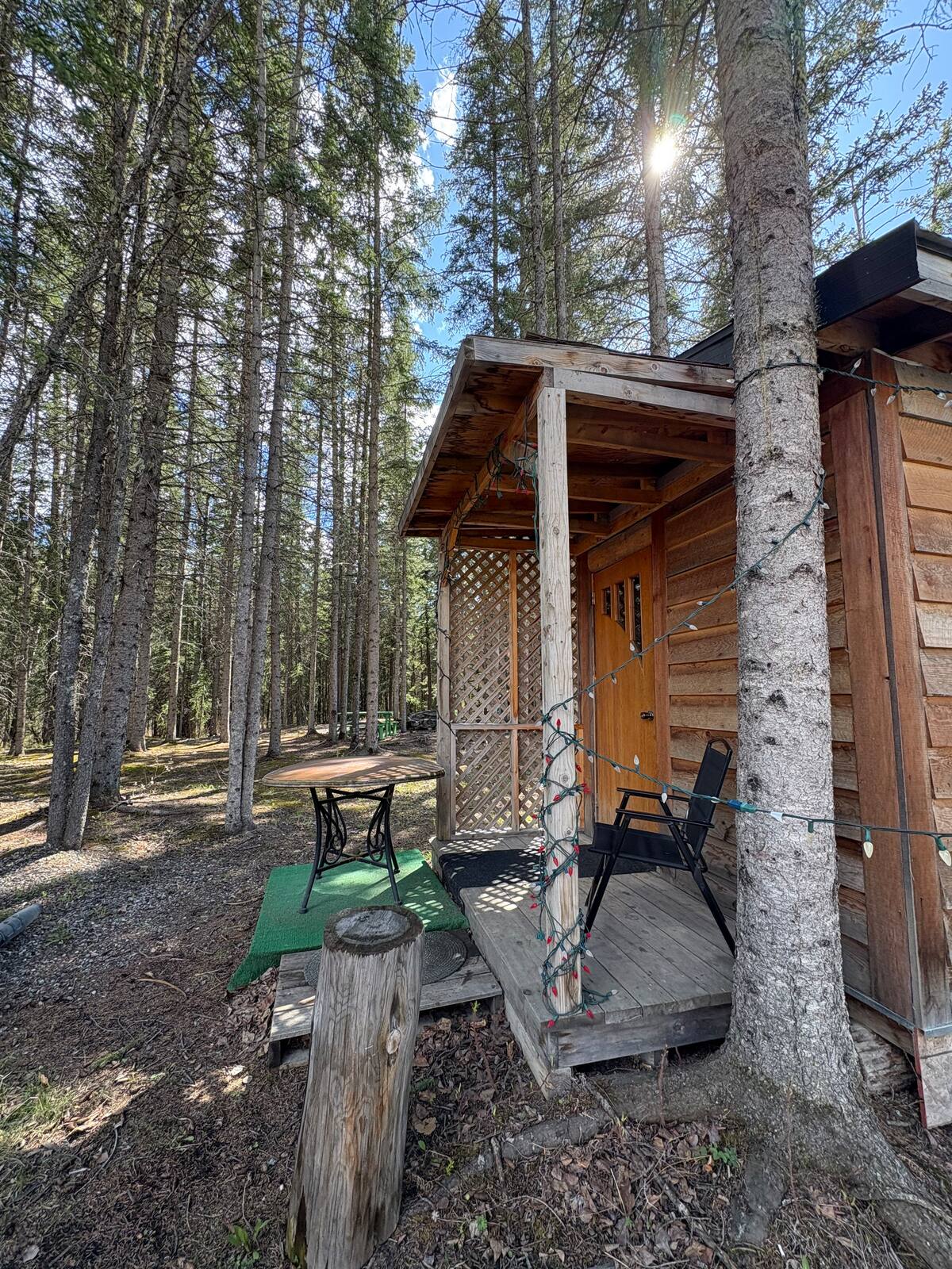 Jasper Vacation Rentals & Homes - Alberta, Canada | Airbnb