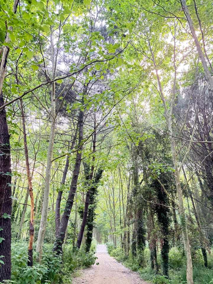 Relax Y Naturaleza Cerca De Girona Y Costa Brava - Breda, Spain