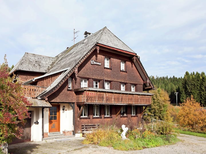 Appartement Dans La Forêt Noire Avec Jardin - Schluchsee