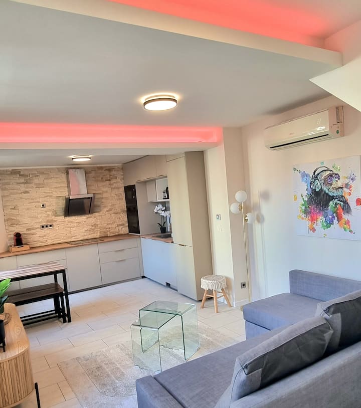 ! Magnifique Triplex Avec  Sauna Cœur De Ville ! - Metz