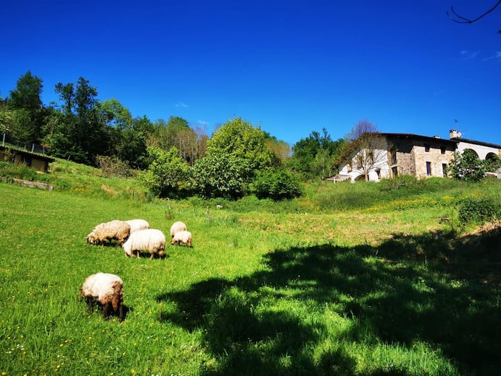 Silencio Y Tranquilidad - Mondragón