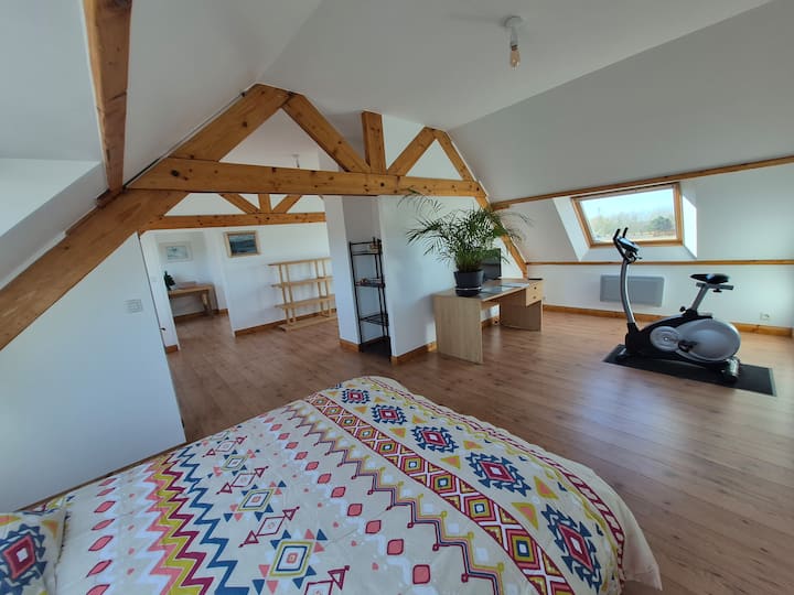 Appartement Spacieux Dans Maison à Saint Avé - Vannes