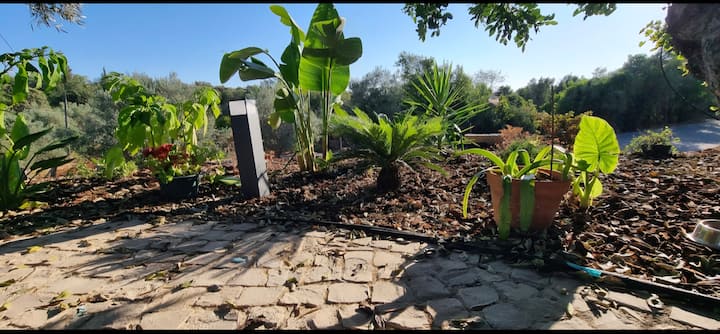 Cantinho No Barrocal - Faro District