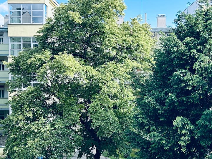 Spacious Family Residence – Your Idyllic Haven” - Bratislava