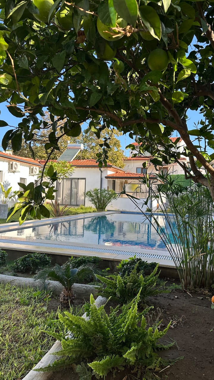 Villa Alp (Villa2) - Datça