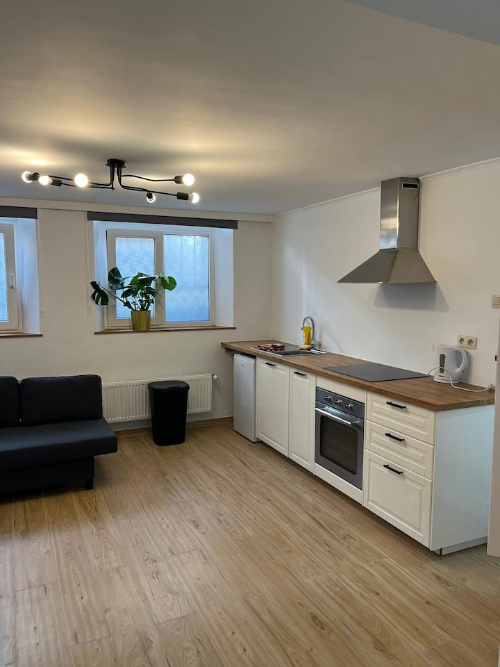 Cozy Flat Eu Institutions - Evere