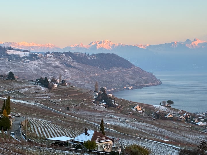 Grandvaux Appartement Avec Vue Imprenable - Lausanne