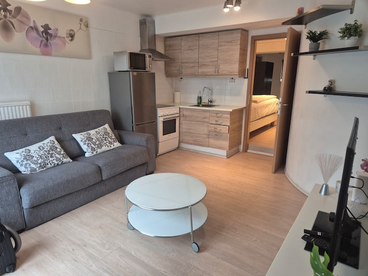 Cozy Apartment. - Islande