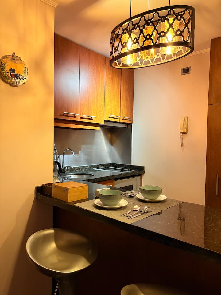 Apartment In Providencia ( Near To Manuel Montt ) - Providencia