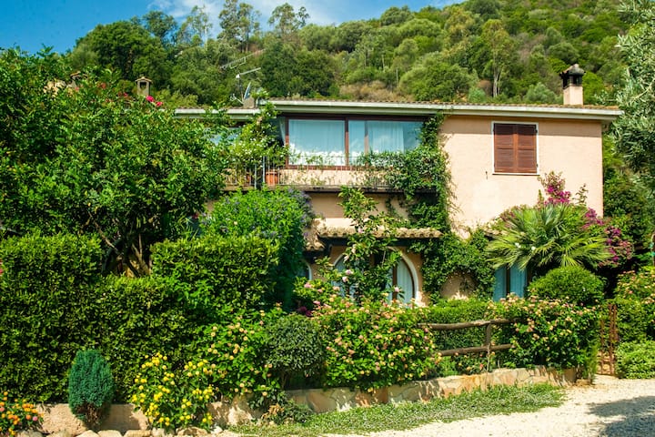 Villa Gisa - Domus De Maria