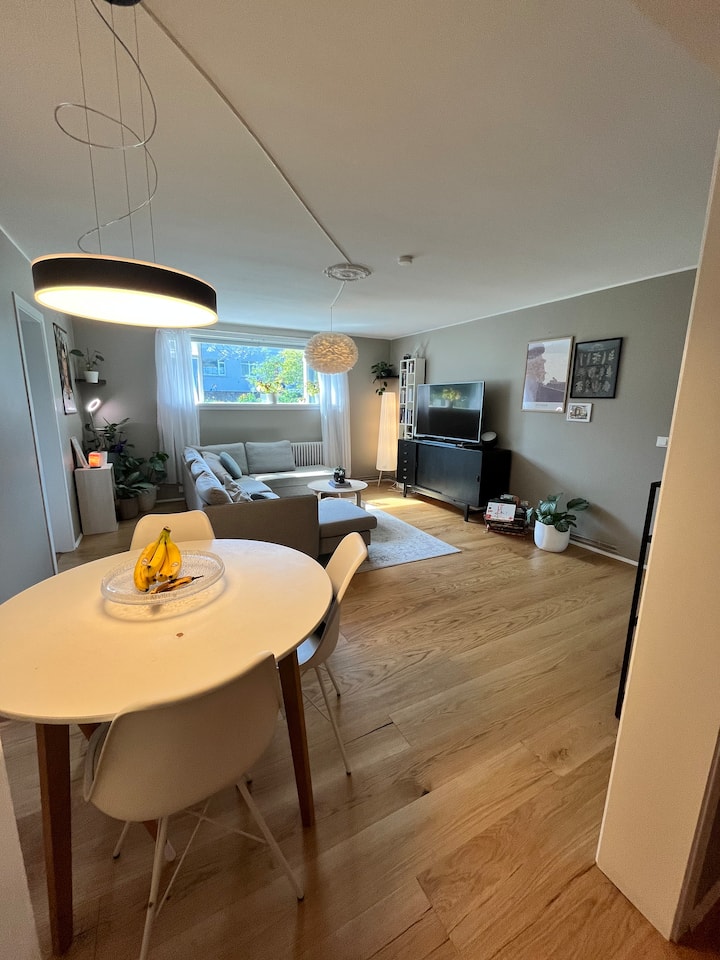 Family Friendly Apartment - Reykjavik