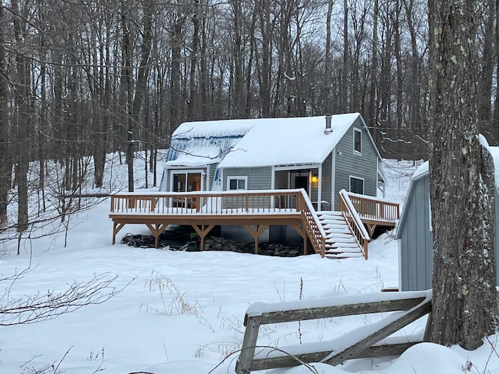 Peaceful Cabin In The Woods - Livingston Manor, NY