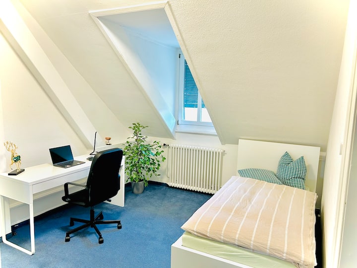 Zimmer Im Herzen Von St.gallen - St. Gallen