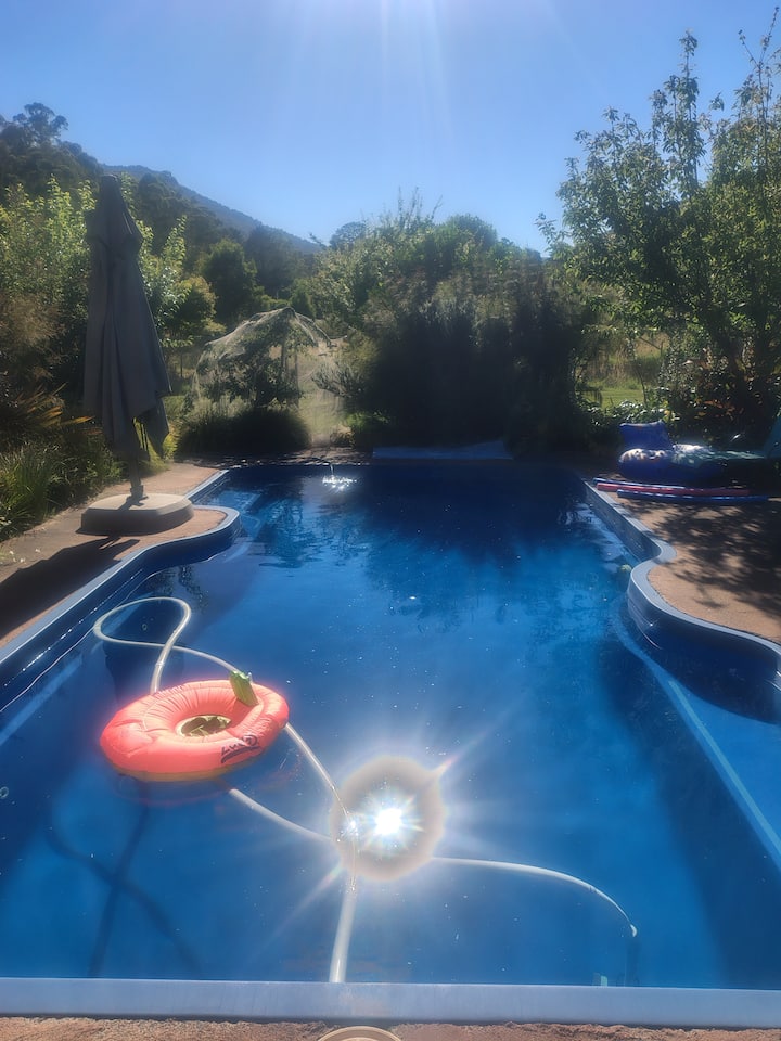 Bluegum Cottage - Healesville