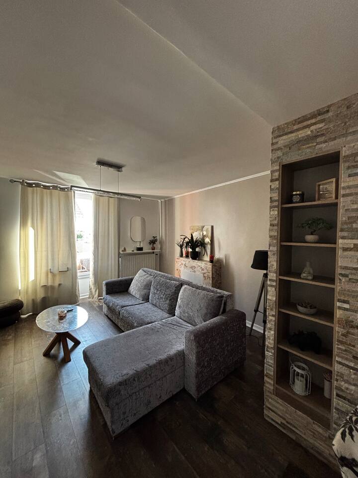 T2 Cosy Pour Se Relaxer - Aurillac