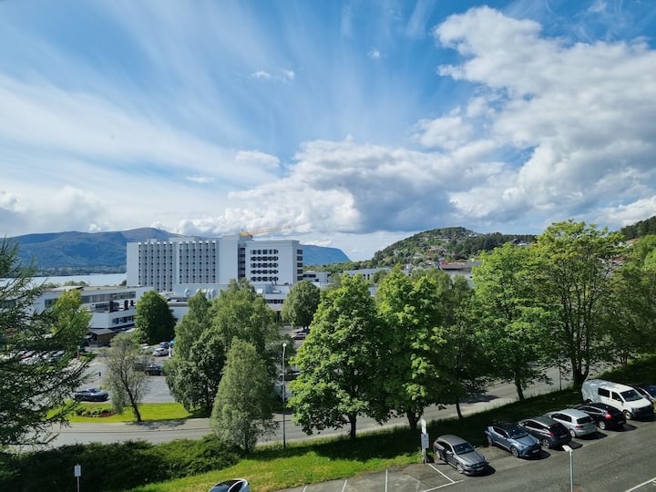 Fin Studioleilighet V/Ã¥lesund Sykehus - Alesund