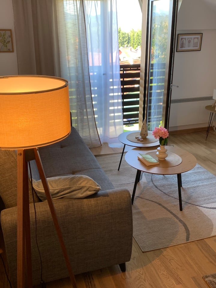 Apartman Rujno - Zlatibor