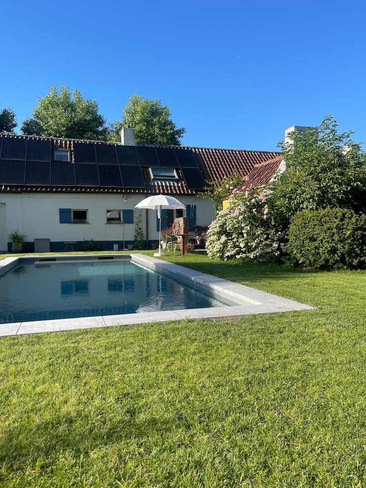 Hoeve Pino - Ostende