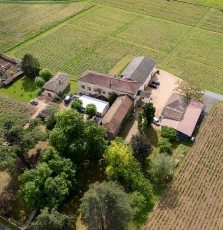 Gîte De Chateau Cambon - Beaujolais