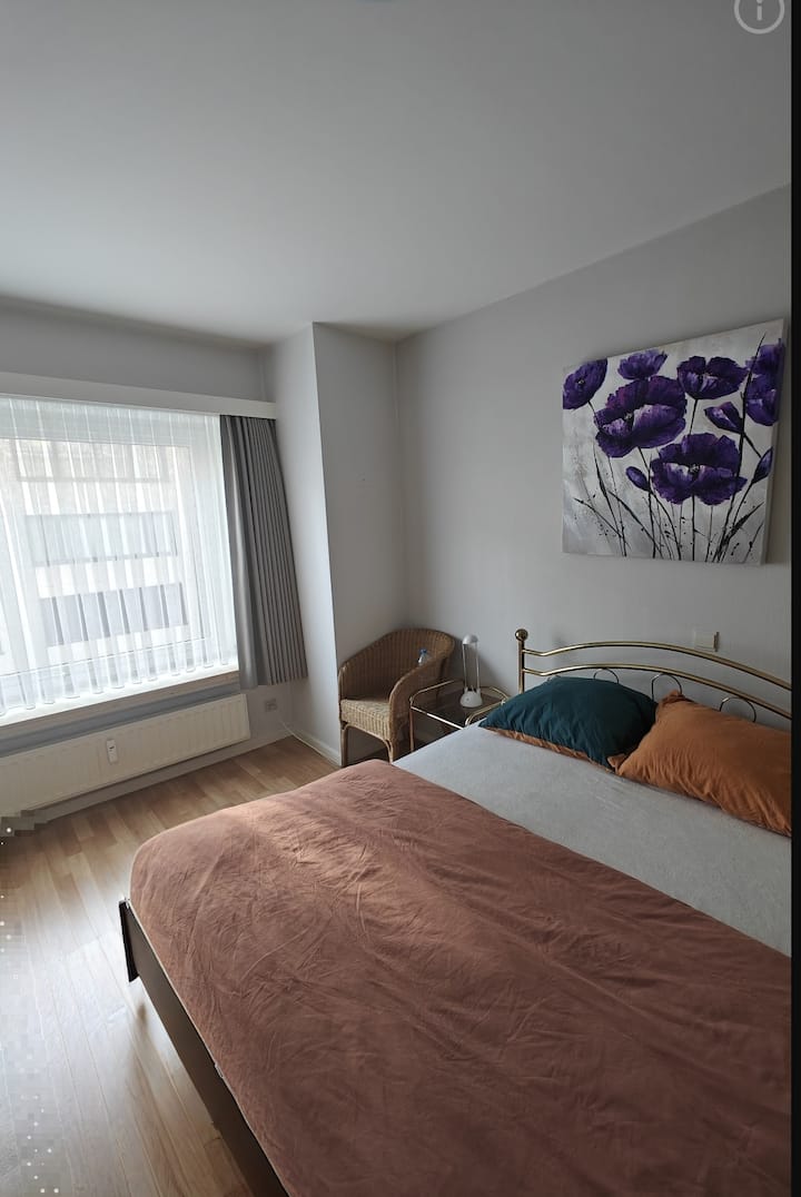 Privékamer En Gedeelde Ruimtes In Appartement - Ostende