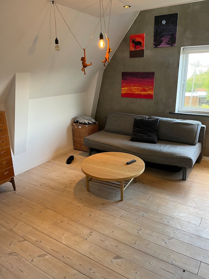130 M2 Apartment 2 Bed 2 Bath - Central Location - Odense