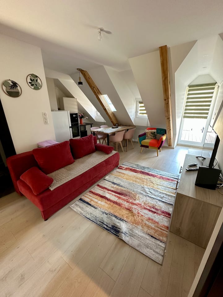 Rêve Centre Appart - Colmar