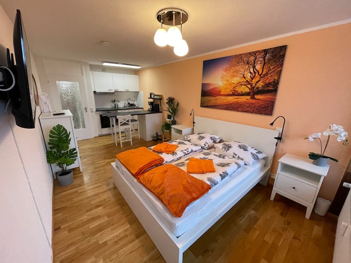 Ferienwohnung In Freudenstadt-kniebis, Schwarzwald - Kniebis