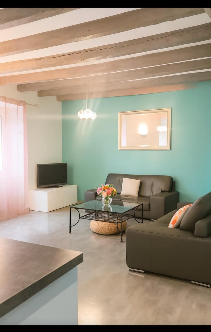 Maison De Village Chaleureuse Avec Terrasse - Rumilly