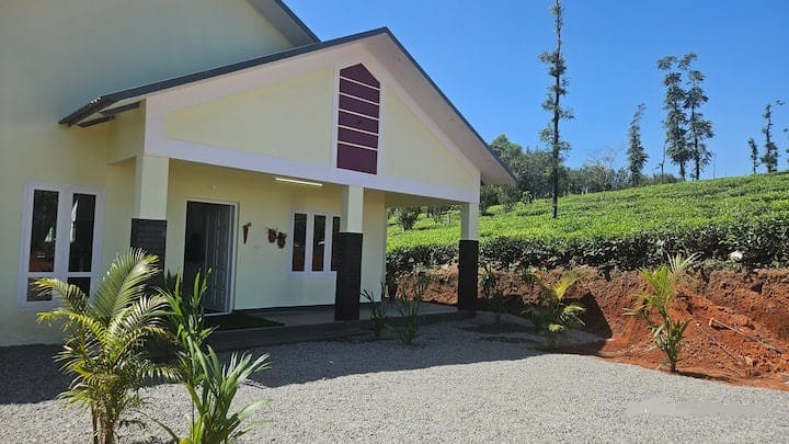 Beverly Hills Vagamon - Vagamon