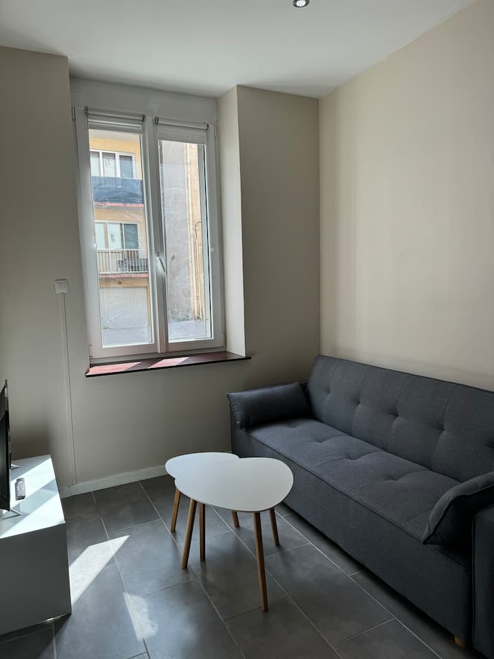 Charmant Appartement Nancy Hyper-centre - Nancy