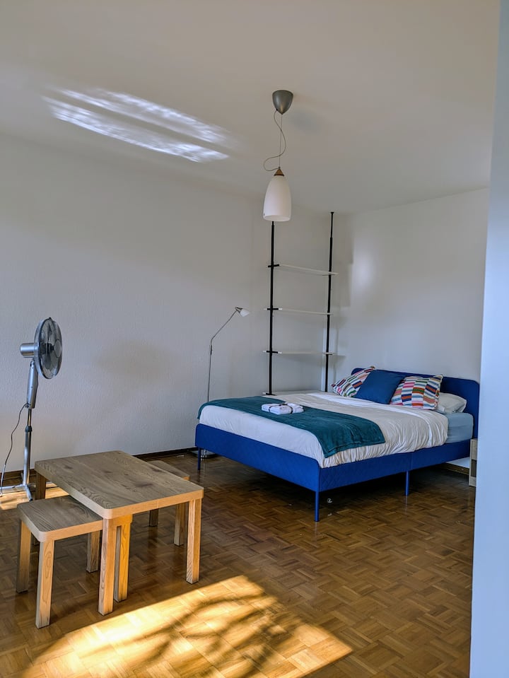 Charming Apt - Lake & City Walk - Geneva