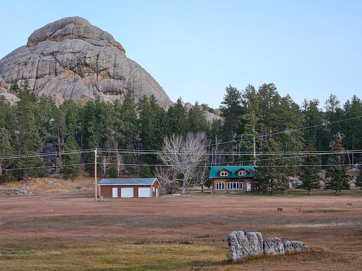 Wildlife & Wonders Custer's Hidden Gem! - Custer