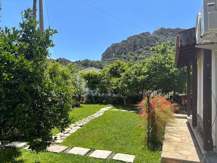 Hayıtbükü Denize 50m Tatil Evi - Palamutbükü Plajı
